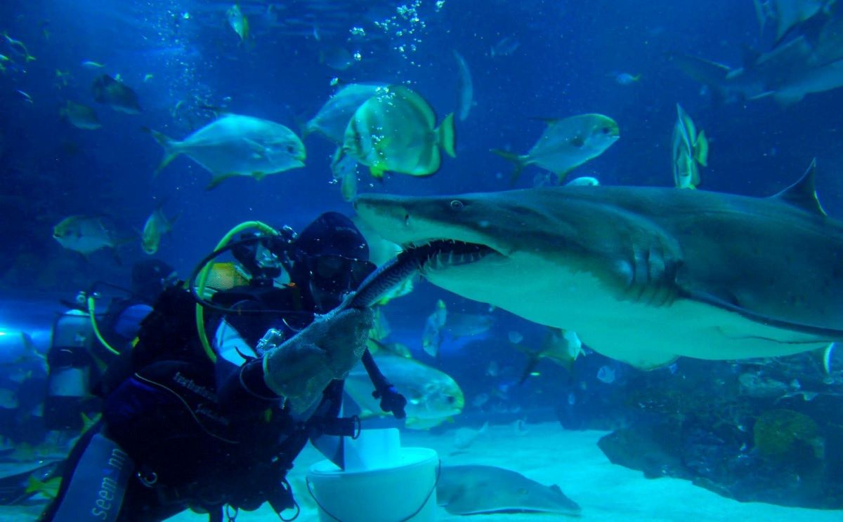 5 super indoor activities for families in rainy weather