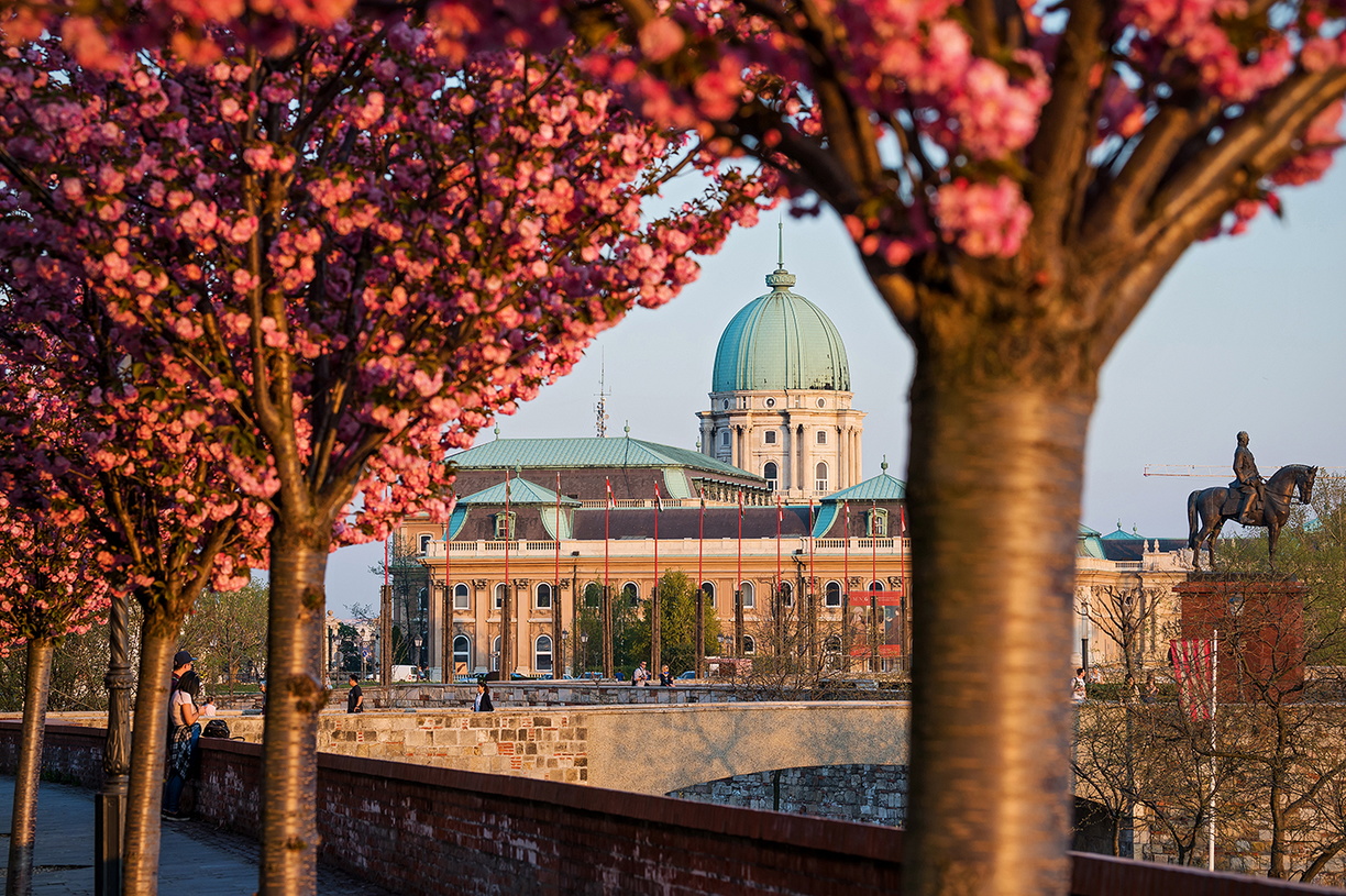 New year, new adventures: add these to your bucket list for 2024