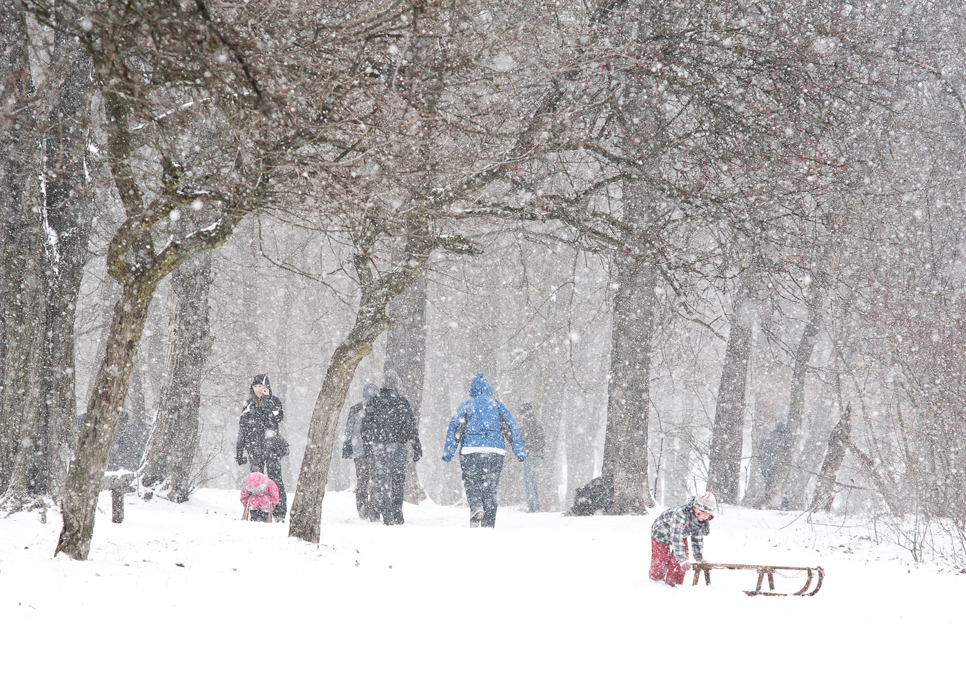 Winter Adventures at Normafa — Get Out in Nature!