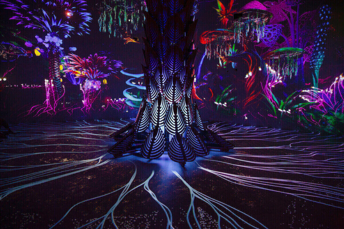 A special journey of the senses: discover the world of Cinema Mystica