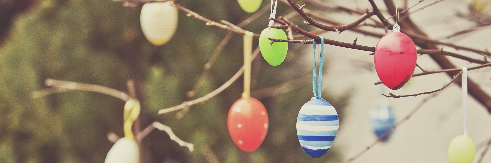 Information about the Budapest Spring Fair