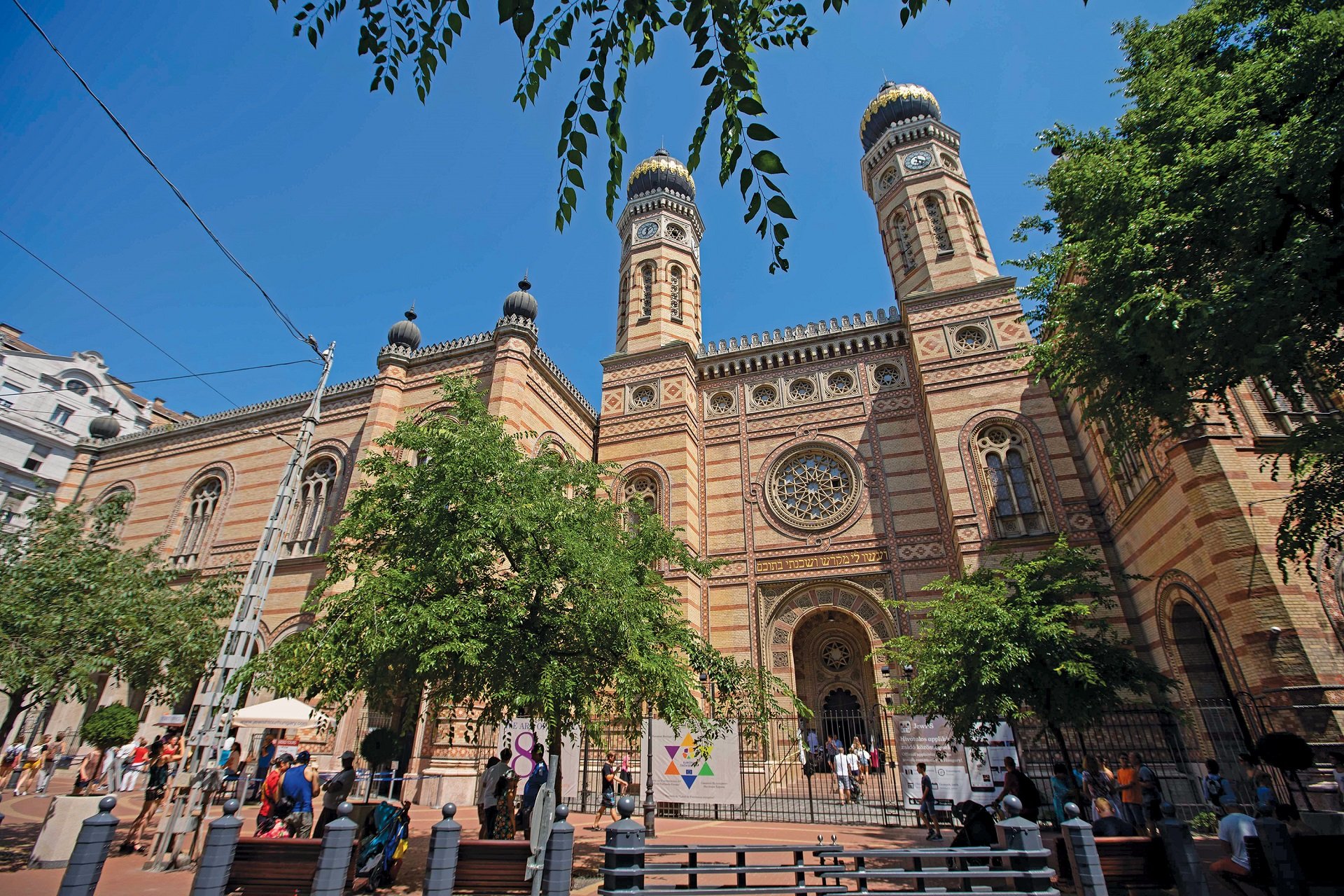 THE WINE REGIONS OF BUDA