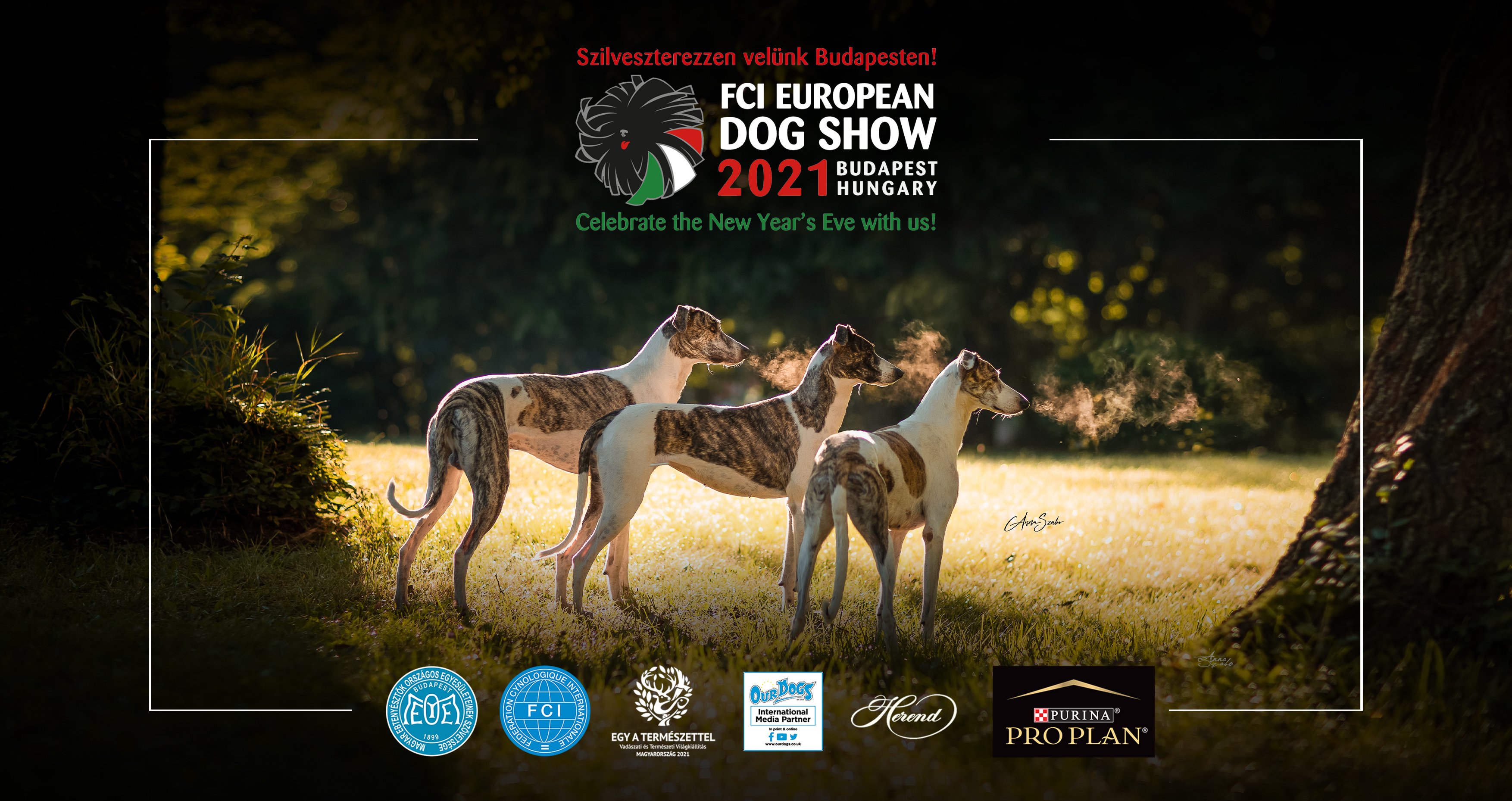 Hieronymus Bosch rejtélyes világa - Menny és pokol között