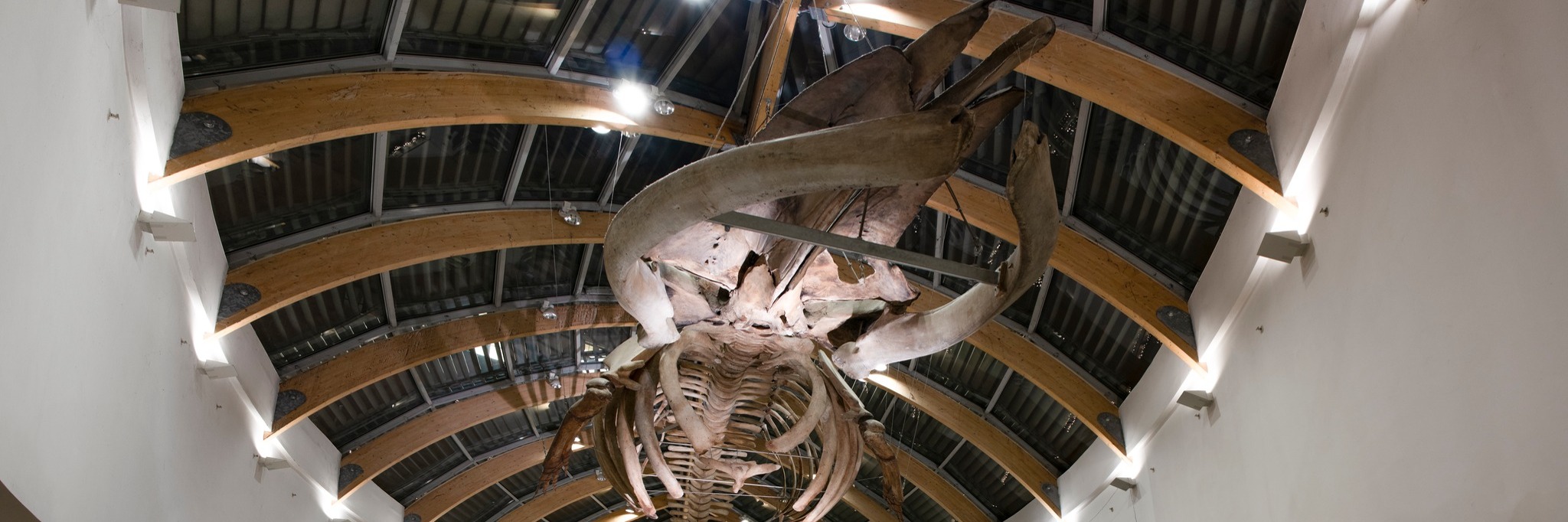 Magyar Természettudományi Múzeum