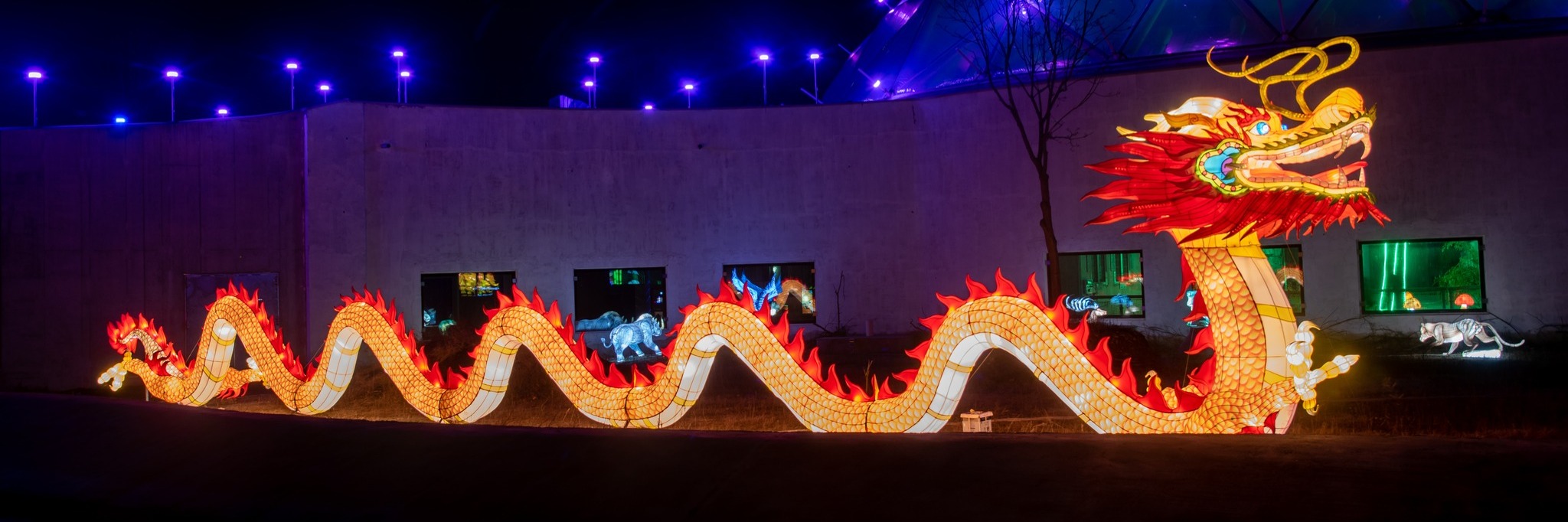 Kínai újév Budapesten: igazi kulturális és gasztronómiai utazás