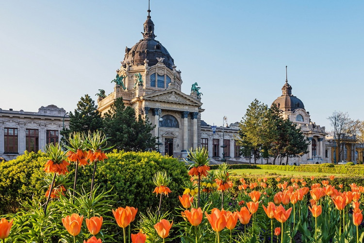 LES BAINS SZÉCHENYI