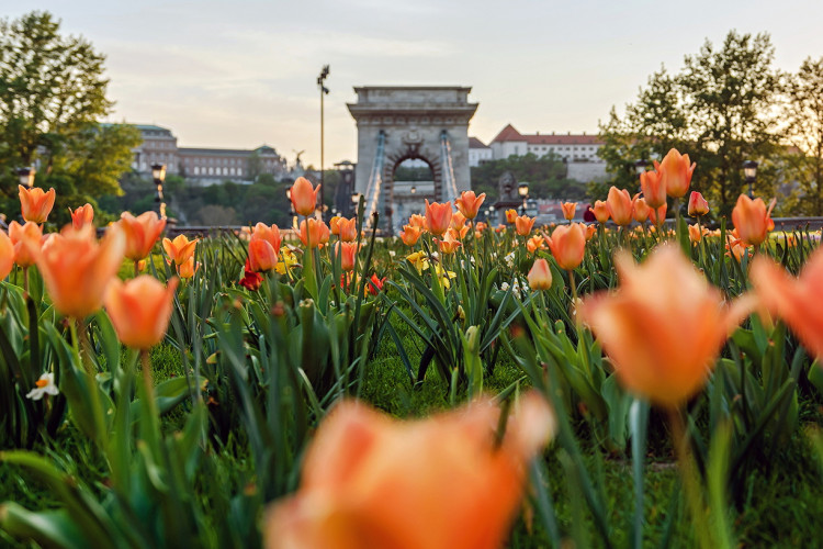 Budapest in spring