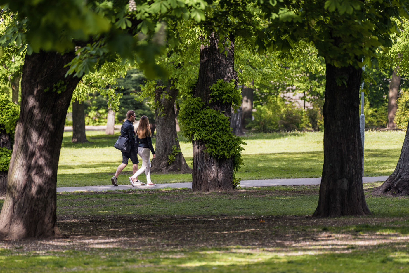 Wonderful Normafa – what to do in sunny weather?