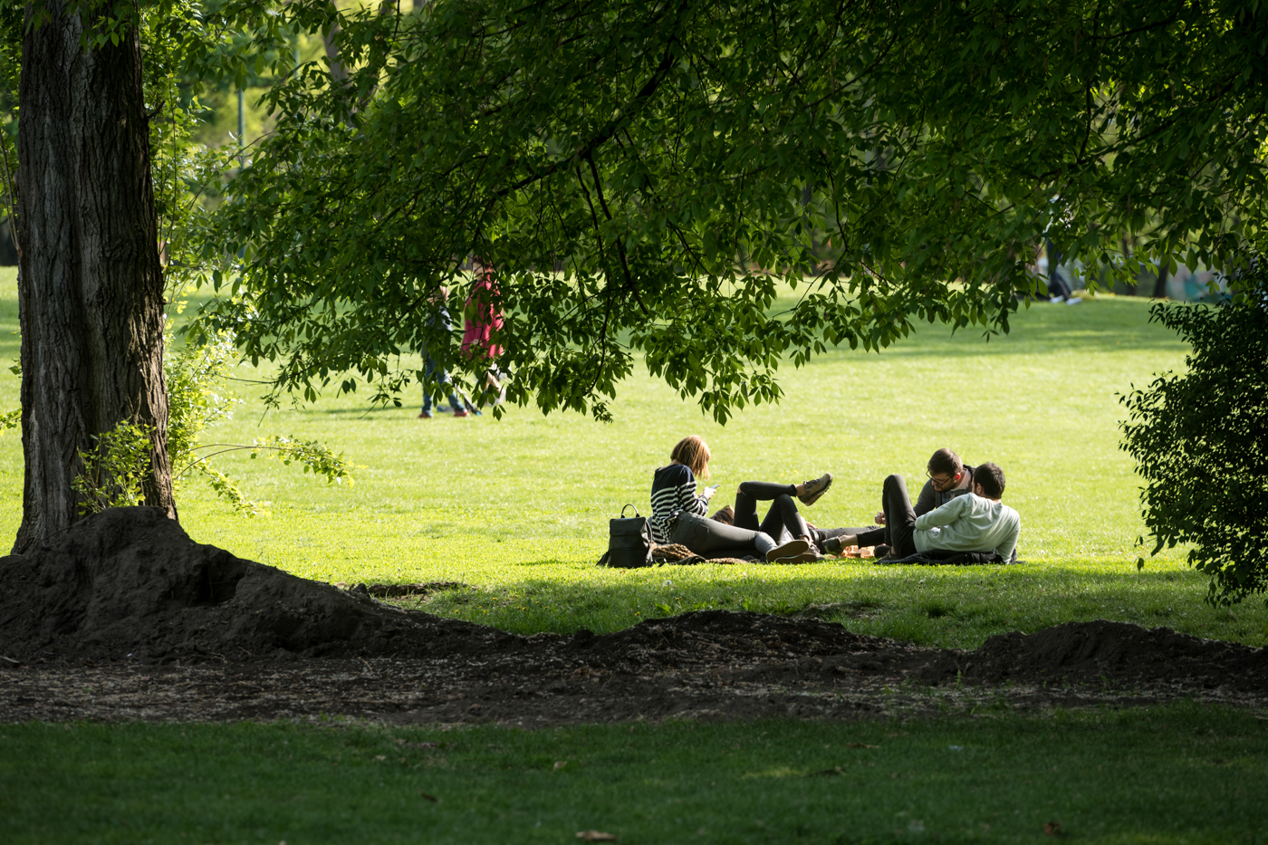 Wonderful Normafa – what to do in sunny weather?