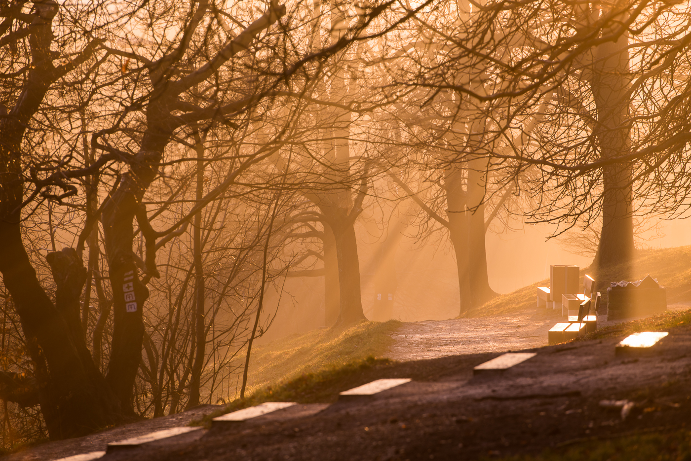 Wonderful Normafa – what to do in sunny weather?