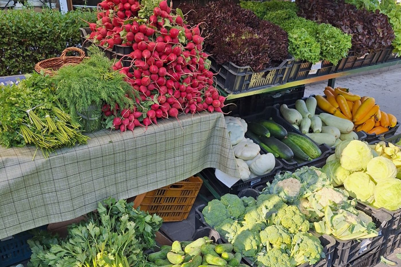 Római-part: ingyenes strand és rengeteg programlehetőség