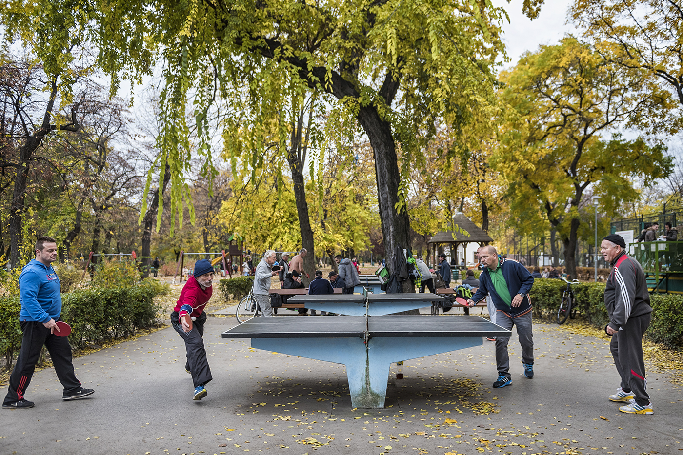 City Park (Városliget)