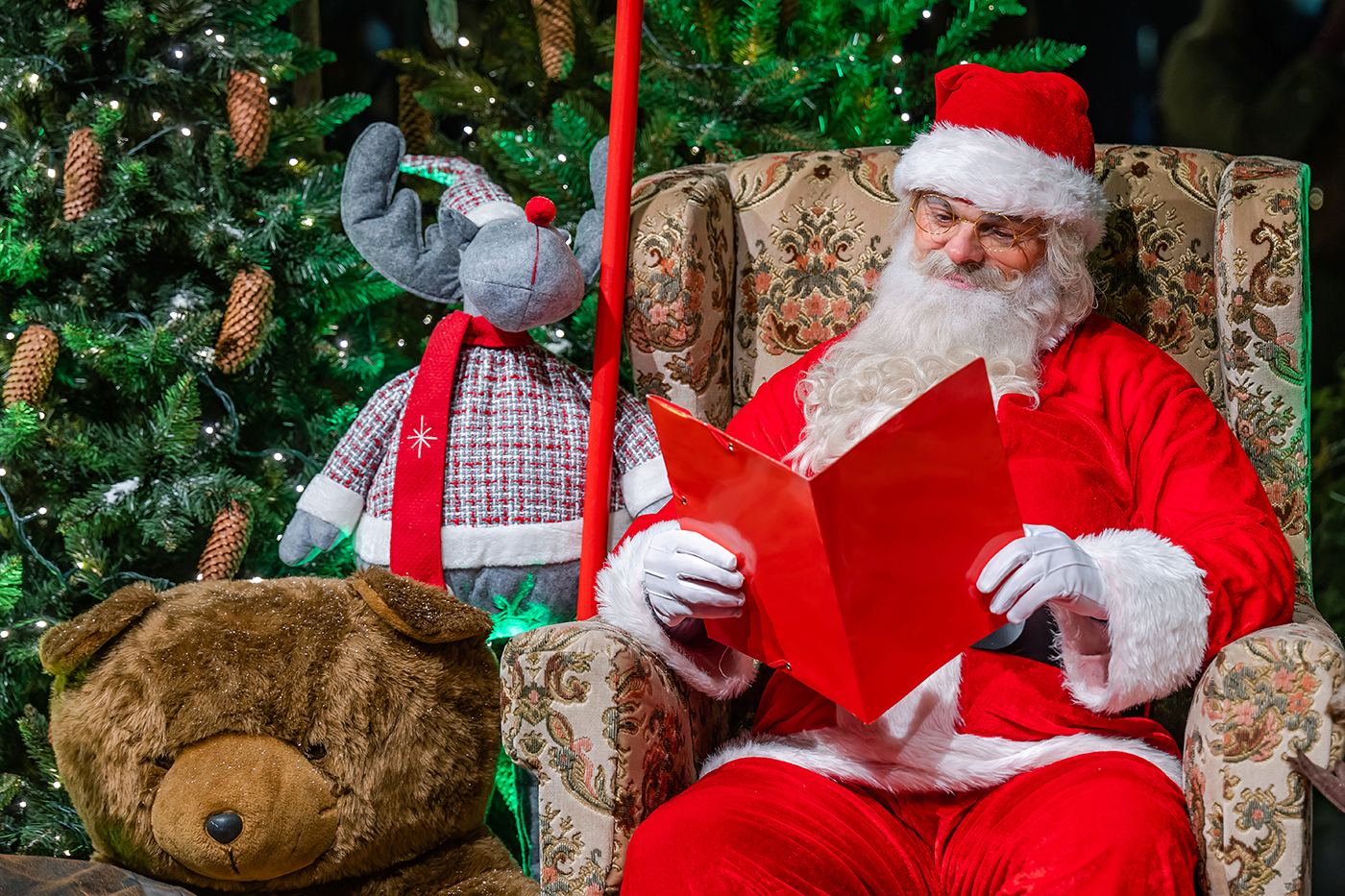 Your Guide to Celebrate Christmas in Budapest