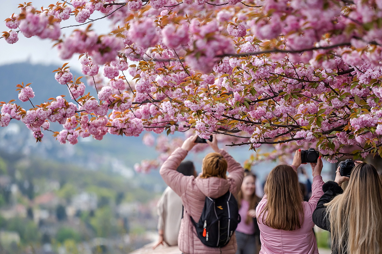 Budapest in spring