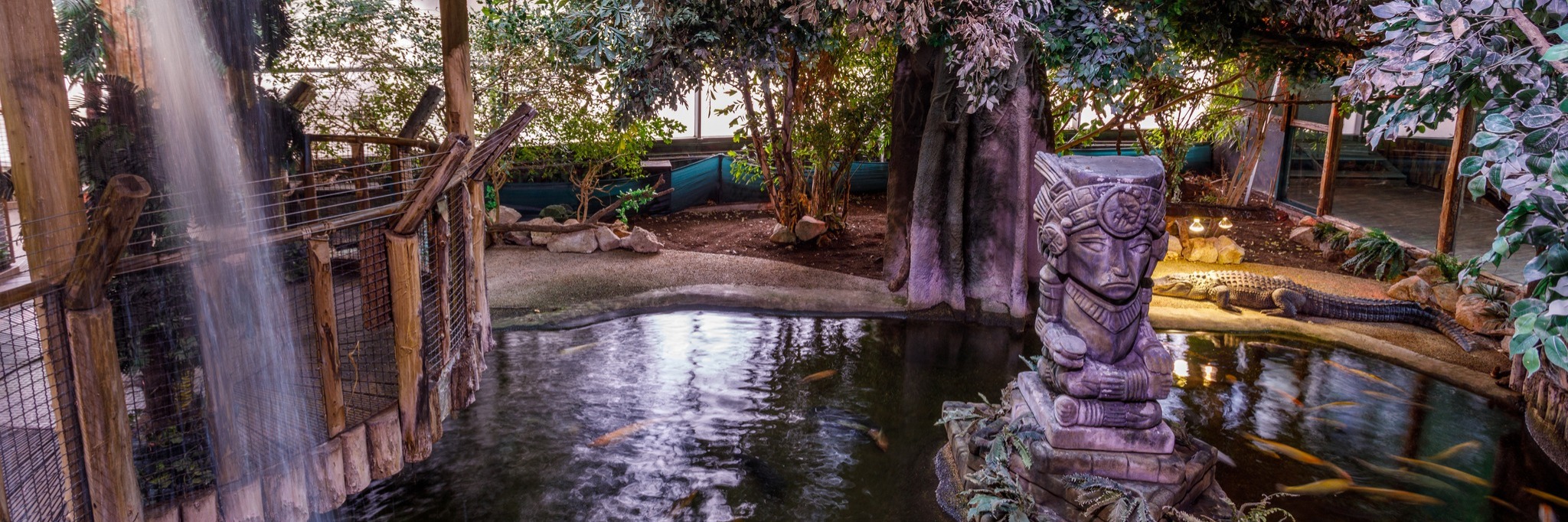 Tropicarium – The “Shark Zoo”