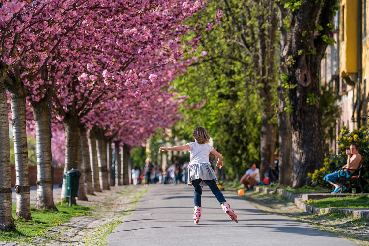 Budapest Info - The Official Tourist Website of Budapest