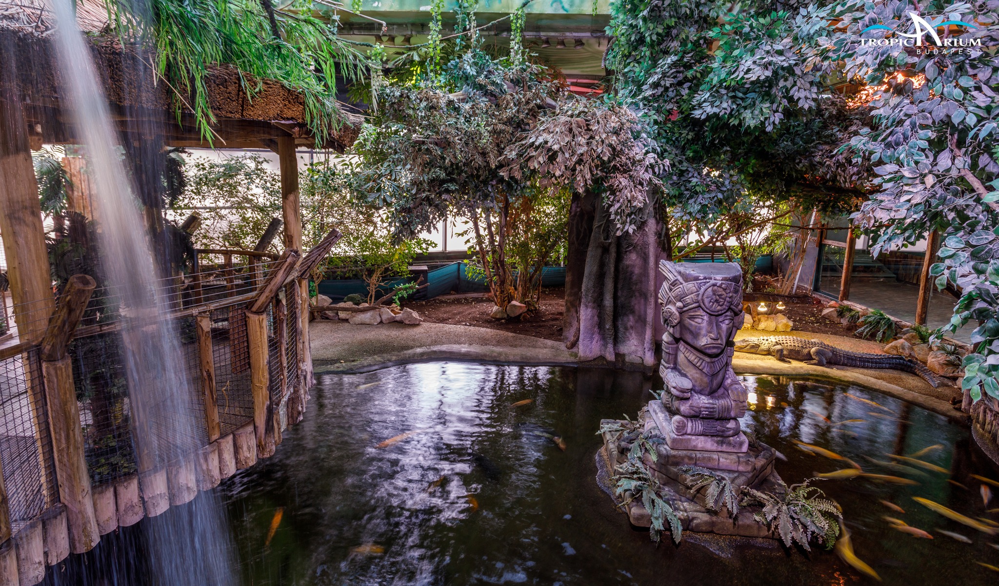 Tropicarium – A cápás állatkert